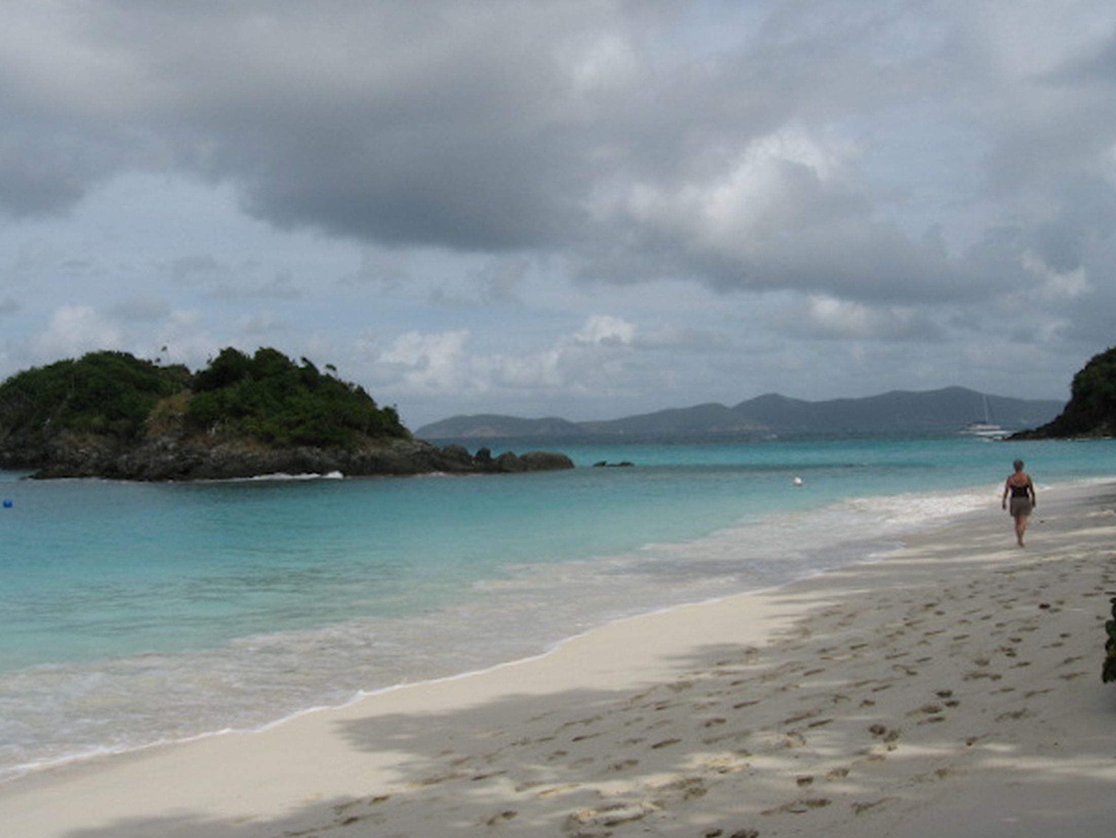 Watercolor with Annie Strack